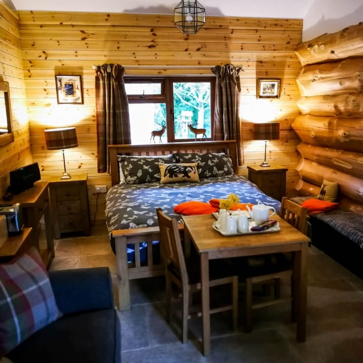 Two Night Stay in Log Cabin with Dinosaur World | Find Me A Gift