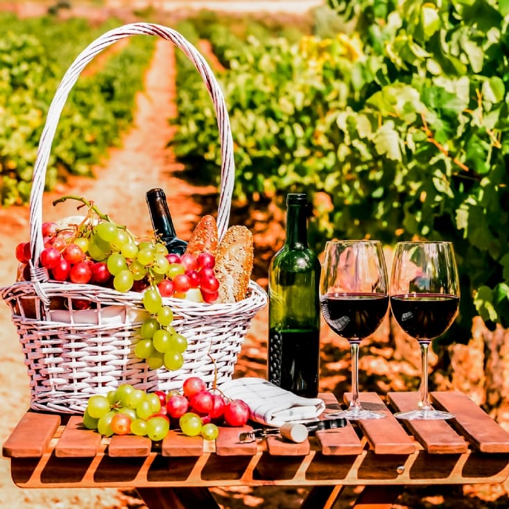 Vineyard Experience With Lunch For Two | Find Me A Gift