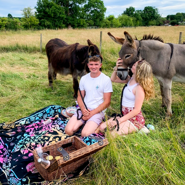 Donkey Picnic for Two at Dashing Donkeys | Find Me A Gift
