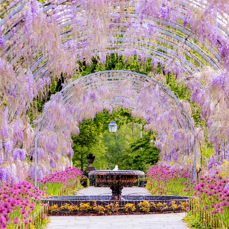 Entrance to The RHS Gardens for Two | Find Me A Gift