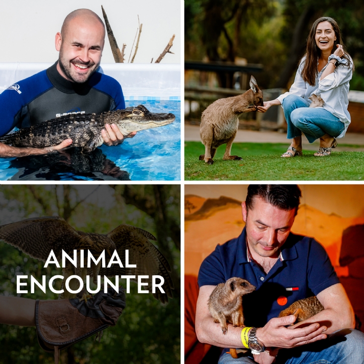 Animal Encounter | Find Me A Gift
