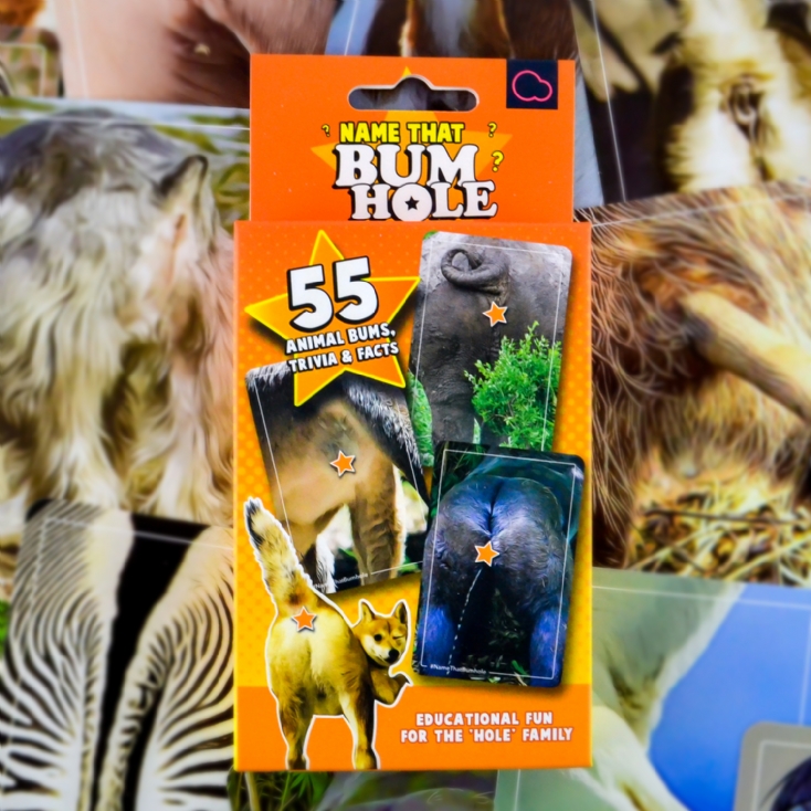 Name That Bumhole Game | Find Me A Gift