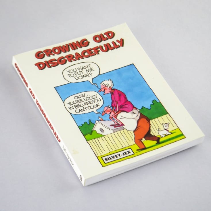 Growing Old Disgracefully Book | Find Me A Gift