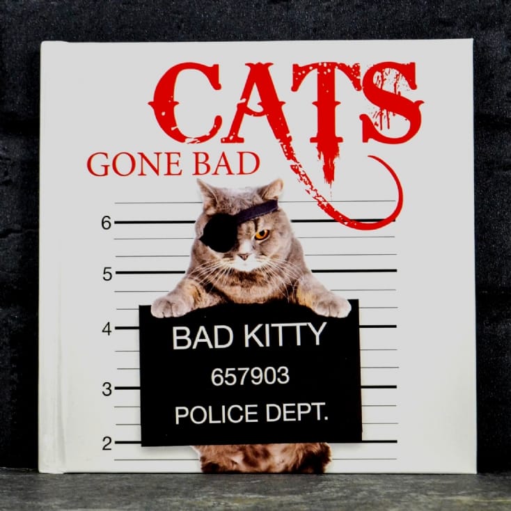 Cats Gone Bad Real Life Stories Book | Find Me A Gift