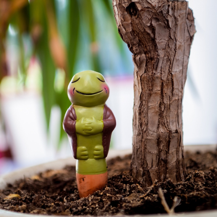 Grow with the Flow Toad Gardening Watering Spike | Find Me A Gift