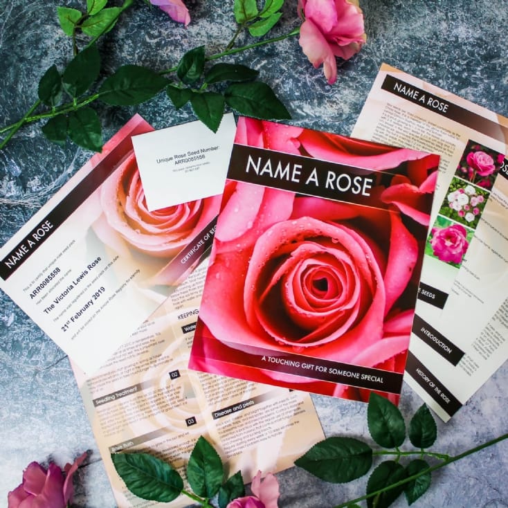 Personalised Name A Rose Bush Find Me A Gift Personalised Name A Rose Bush Find Me A Gift