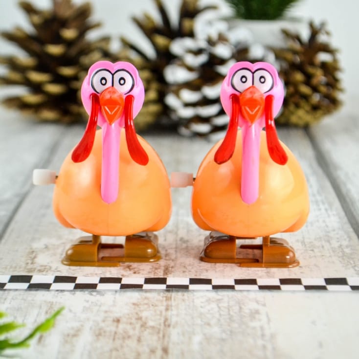 Racing Turkeys | Find Me A Gift