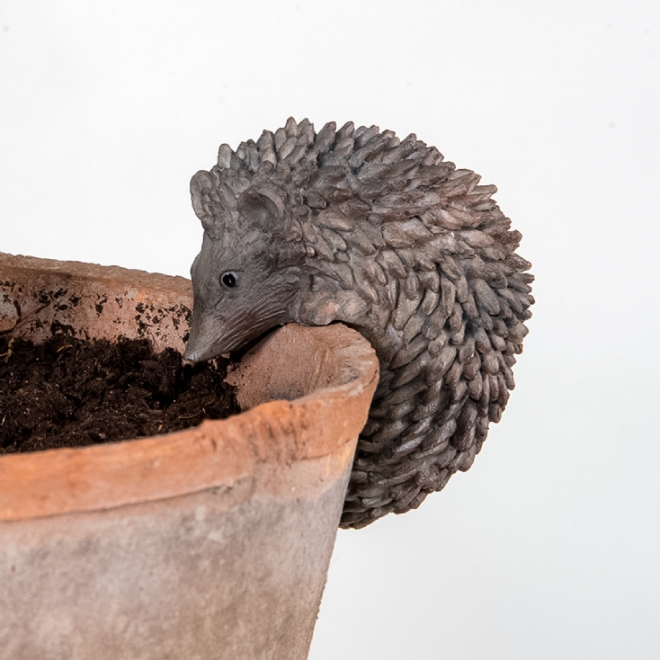 Hedgehog Pot Hanger | Find Me A Gift