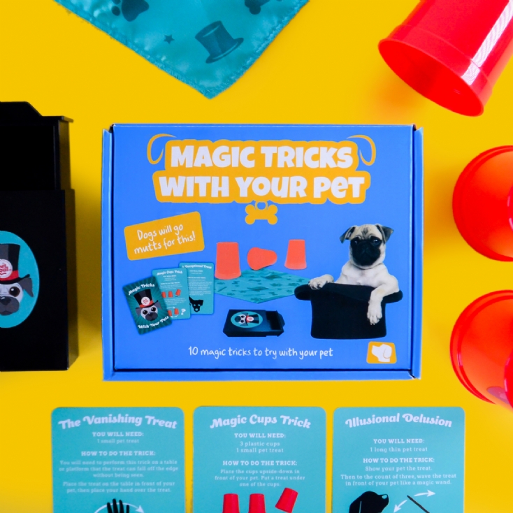 Magic Tricks With Your Pet | Find Me A Gift