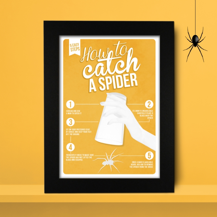 How To Catch A Spider Poster | Find Me A Gift