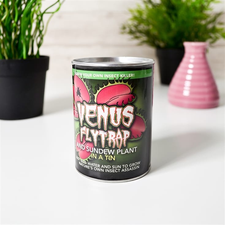 Venus Fly Trap in a Tin | Find Me A Gift