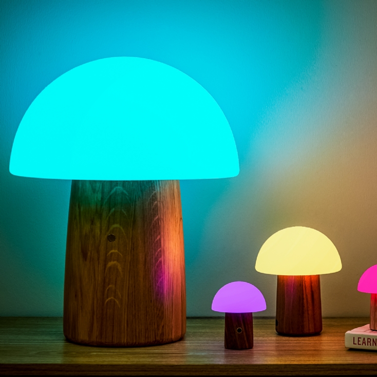 Wooden Mushroom Lamps | Find Me A Gift