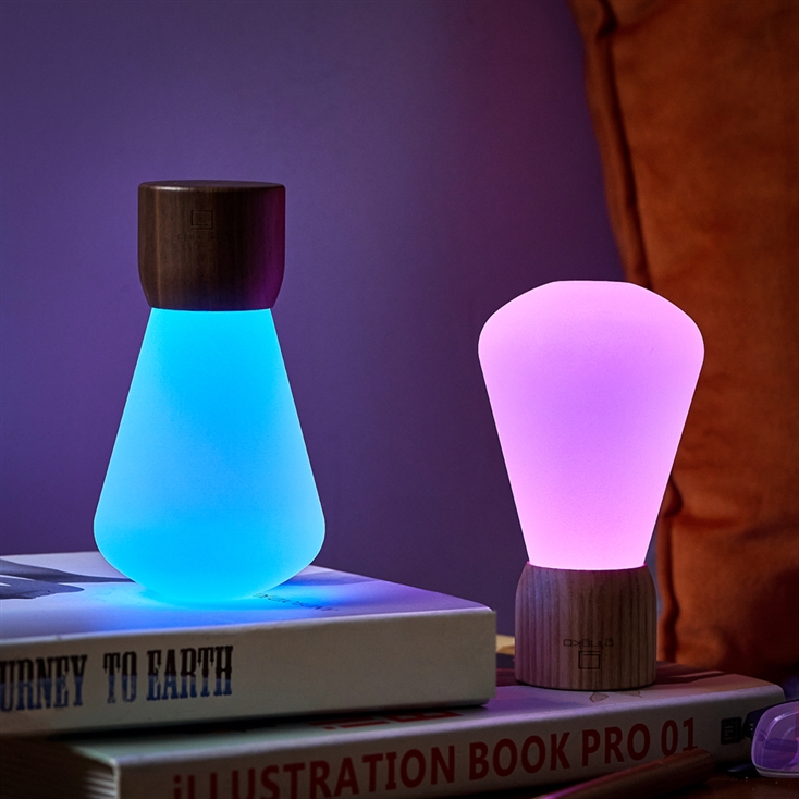 Pentagon Desk Bulbs | Find Me A Gift