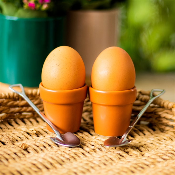 Plant Pot Egg Cup Set with Shovel Spoons | Find Me A Gift