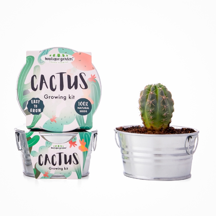 Grow Your Own Cactus Plant | Find Me A Gift