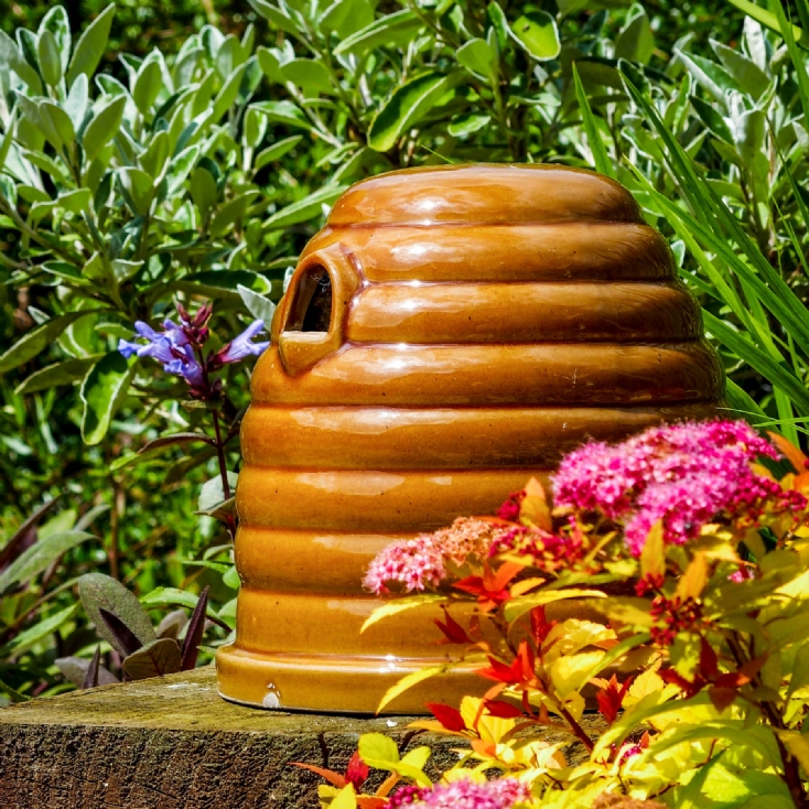 Ceramic Bee Nester | Find Me A Gift
