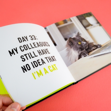 Funny Cats Novelty Book | Find Me A Gift