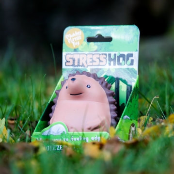 Stress Hog - Hedgehog Stress Toy | Find Me A Gift