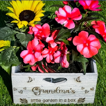 Personalised Engraved Wooden Planters | Find Me A Gift