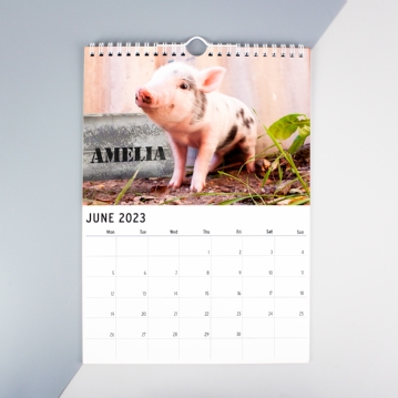 Personalised Cute Animal Calendars | Find Me A Gift