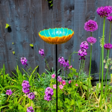 African Daisy Bird Drinker | Find Me A Gift